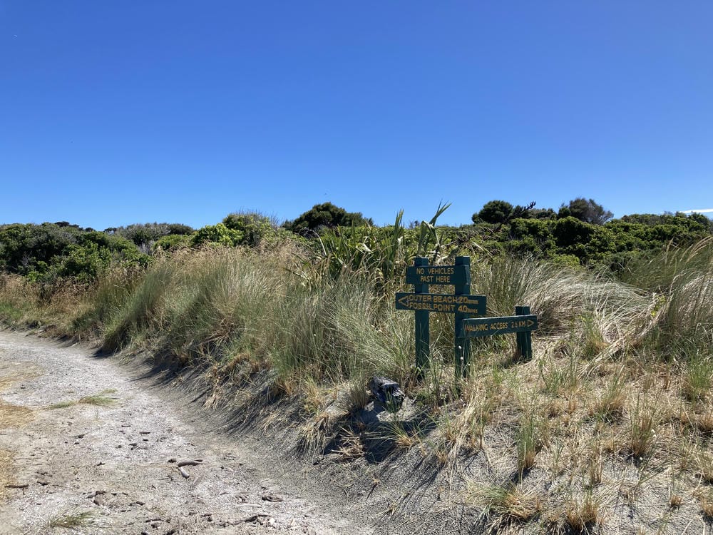 Farewell Spit Walk - Nelson Trails
